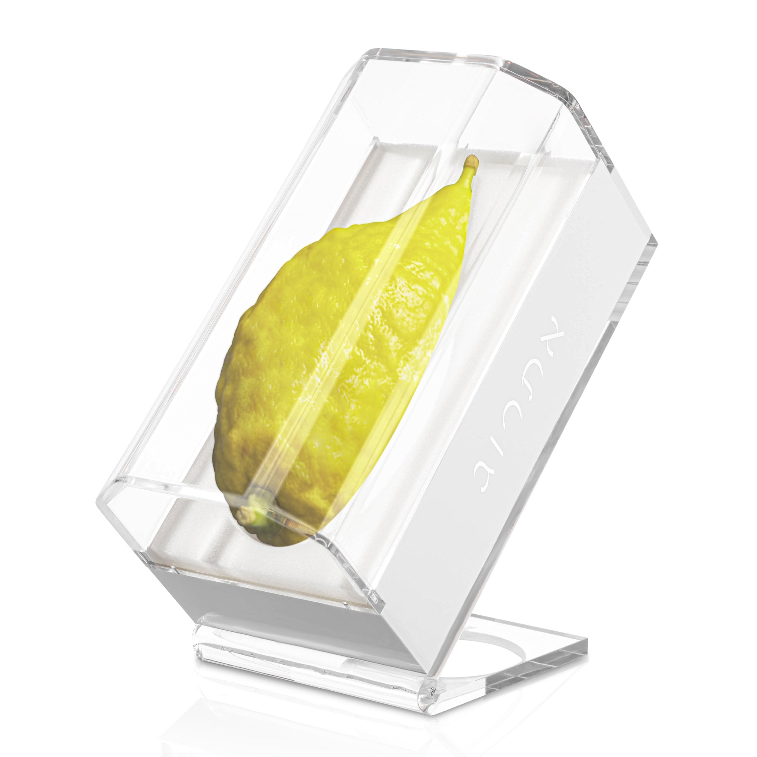 Esrog Box Display Stand – Zstander